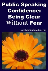 Public Speaking with Confidence: Being Clear without Fear - Sarah ...