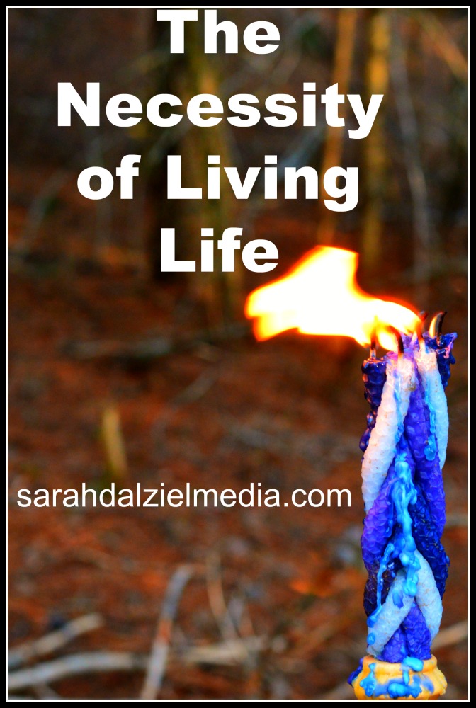 The Necessity of Life - Sarah Dalziel Media